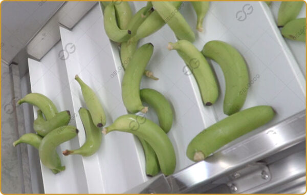 How Are Bananas Processed In Industrial?